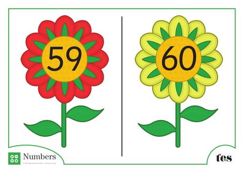 Number Cards – Plants and Flowers Theme 51-60 | Teaching Resources