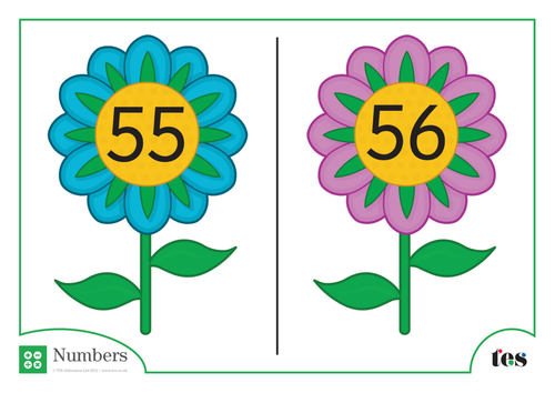 Number Cards – Plants and Flowers Theme 51-60 | Teaching Resources