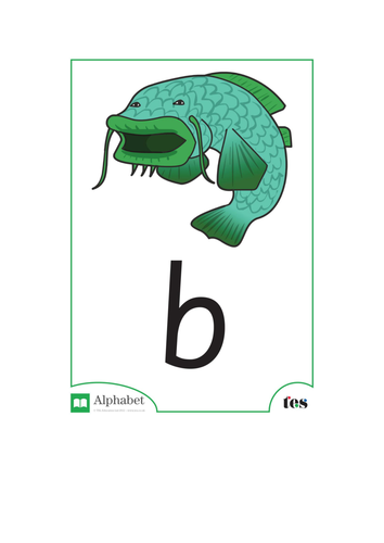 The Letter B - Ocean Theme | Teaching Resources