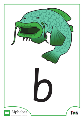 The Letter B - Ocean Theme | Teaching Resources