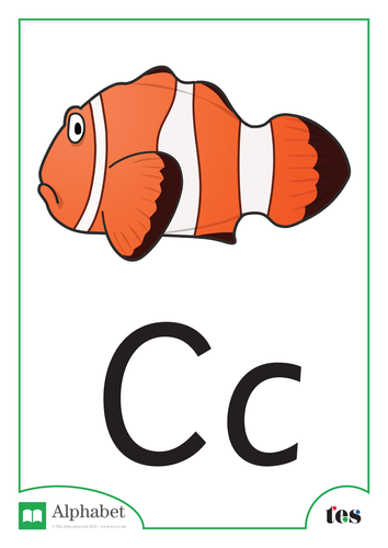 The Letter C - Ocean Theme | Teaching Resources
