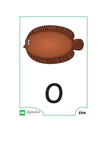 The Letter O - Ocean Theme | Teaching Resources