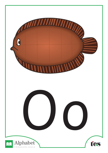 The Letter O - Ocean Theme | Teaching Resources