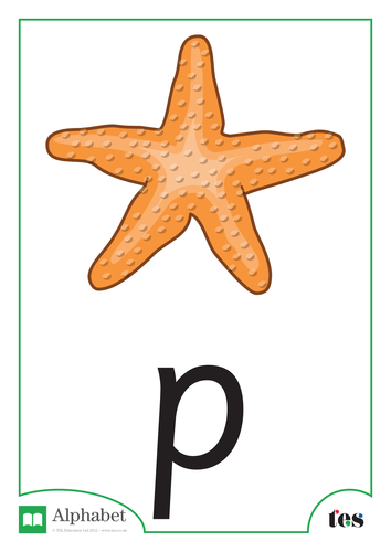 The Letter P - Ocean Theme | Teaching Resources