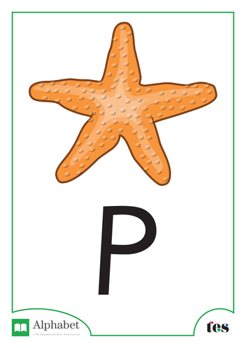 The Letter P - Ocean Theme | Teaching Resources