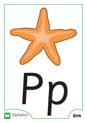 The Letter P - Ocean Theme | Teaching Resources