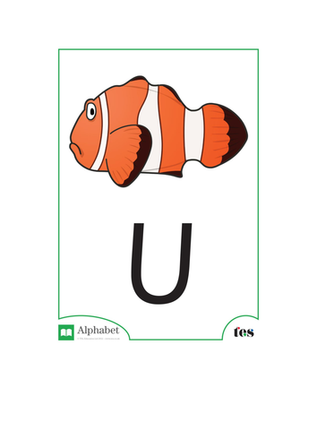 The Letter U - Ocean Theme | Teaching Resources