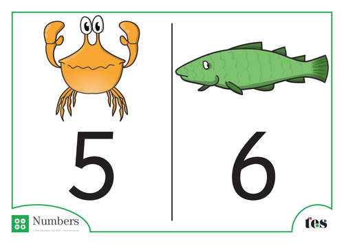 Number Cards - Ocean Theme 1-10 | Teaching Resources