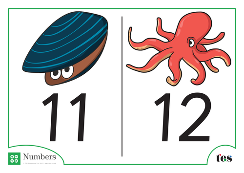 Number Cards - Ocean Theme 11-20 | Teaching Resources