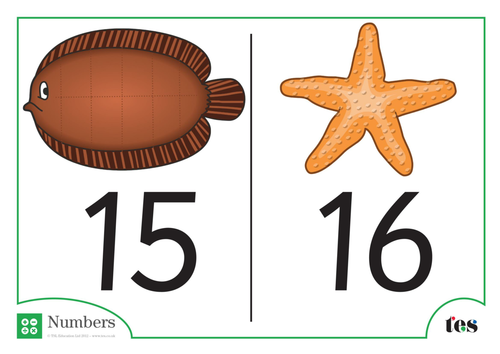 Number Cards - Ocean Theme 11-20 | Teaching Resources