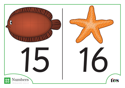 Number Cards - Ocean Theme 11-20 | Teaching Resources