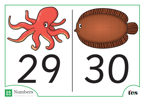 Number Cards - Ocean Theme 21-30 | Teaching Resources
