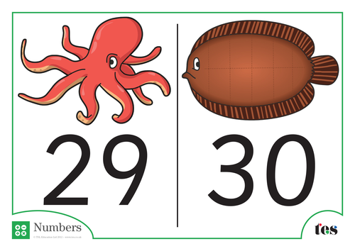 Number Cards - Ocean Theme 21-30 | Teaching Resources