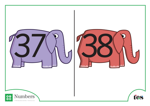 Number Cards - Elephant Theme 31-40 | Teaching Resources