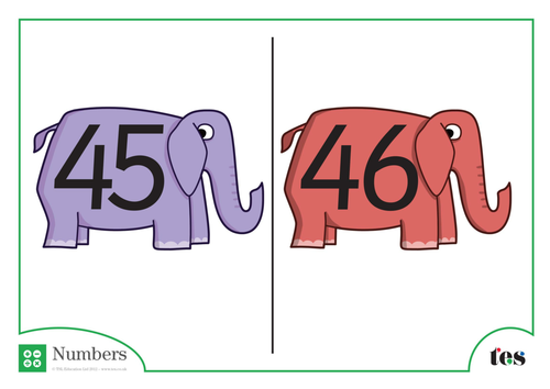 Number Cards - Elephant Theme 41-50 | Teaching Resources