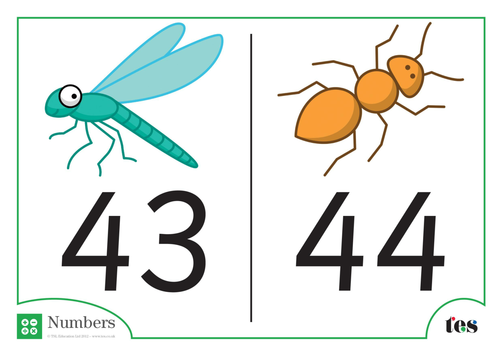 Number Cards - Minibeast Theme 41-50 | Teaching Resources