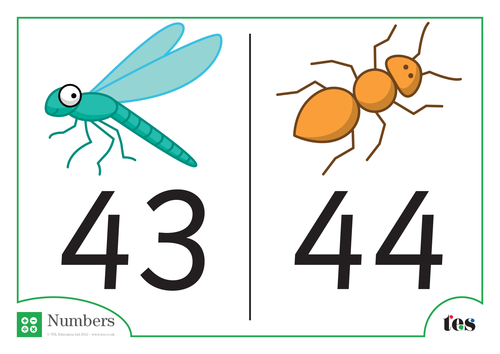 Number Cards - Minibeast Theme 41-50 | Teaching Resources
