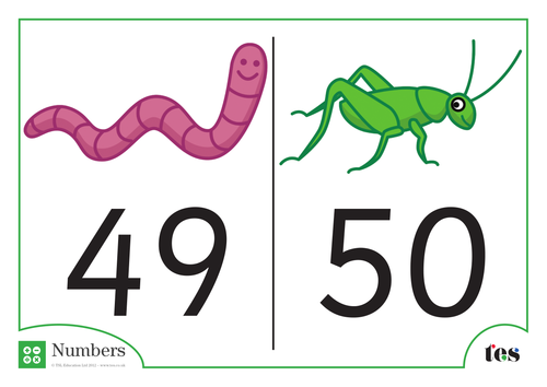 Number Cards - Minibeast Theme 41-50 | Teaching Resources