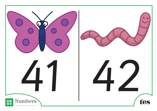 Number Cards - Minibeast Theme 41-50 | Teaching Resources