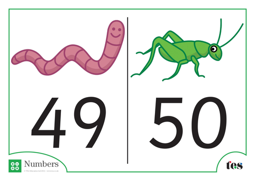 Number Cards - Minibeast Theme 41-50 | Teaching Resources