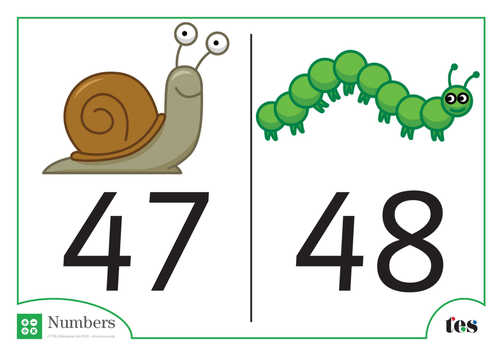 Number Cards - Minibeast Theme 41-50 | Teaching Resources