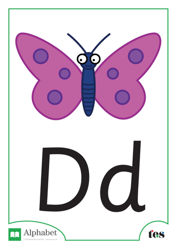 The Letter D - Minibeasts Theme | Teaching Resources