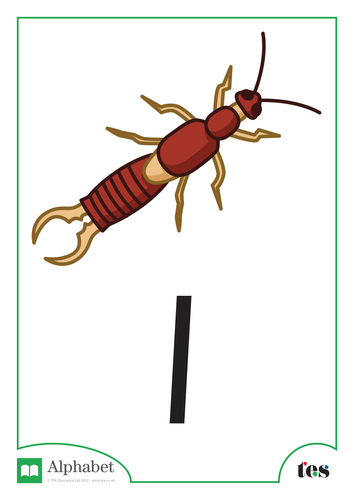 The Letter I - Minibeasts Theme | Teaching Resources