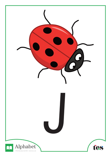 The Letter J - Minibeasts Theme | Teaching Resources