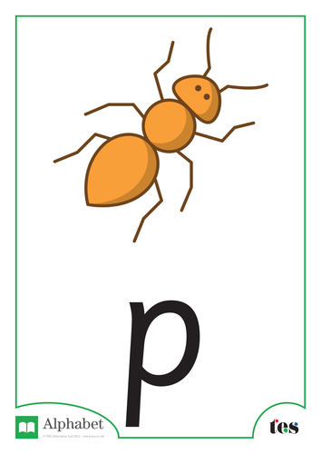 The Letter P - Minibeasts Theme | Teaching Resources