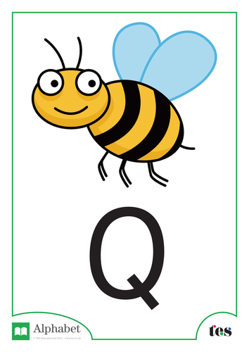 The Letter Q - Minibeasts Theme | Teaching Resources