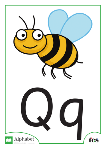 The Letter Q - Minibeasts Theme | Teaching Resources
