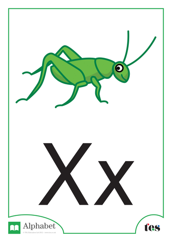 The Letter X - Minibeasts Theme | Teaching Resources