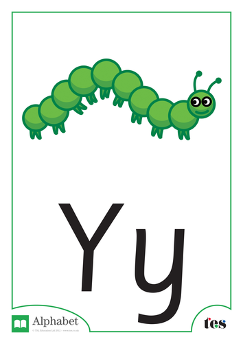 The Letter Y - Minibeasts Theme | Teaching Resources