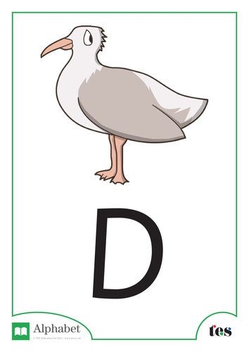 The Letter D - Seaside Theme | Teaching Resources