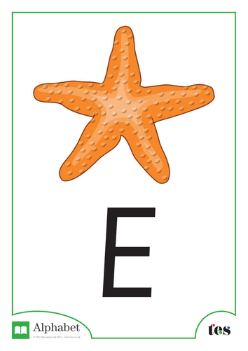 The Letter E - Seaside Theme | Teaching Resources