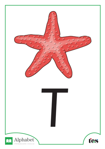 The Letter T - Seaside Theme | Teaching Resources