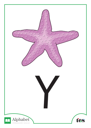The Letter Y - Seaside Theme | Teaching Resources