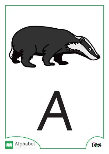 The Letter A - Nocturnal Animals Theme | Teaching Resources