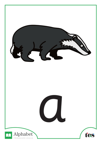 The Letter A - Nocturnal Animals Theme | Teaching Resources