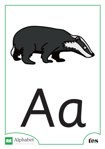 The Letter A - Nocturnal Animals Theme | Teaching Resources