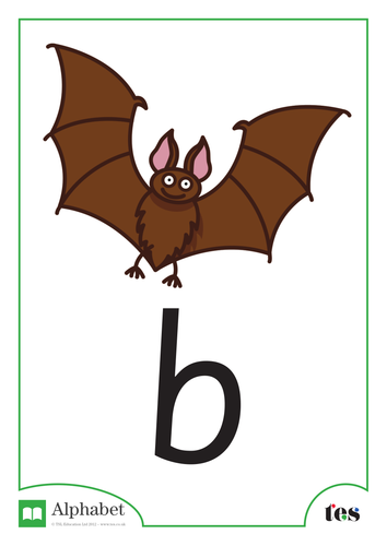 The Letter B - Nocturnal Animals Theme | Teaching Resources