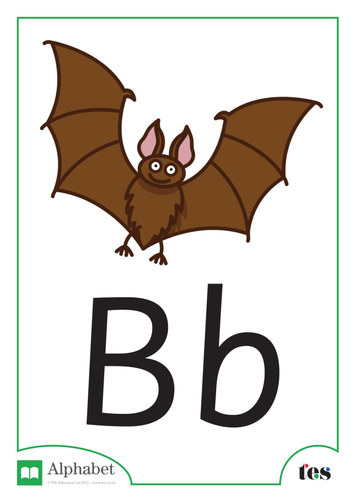 The Letter B - Nocturnal Animals Theme | Teaching Resources