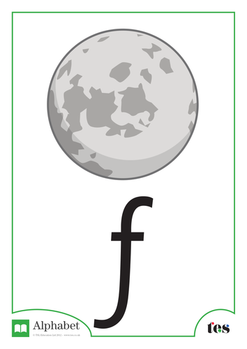 The Letter F - Nocturnal Animals Theme | Teaching Resources