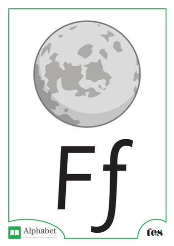 The Letter F - Nocturnal Animals Theme | Teaching Resources