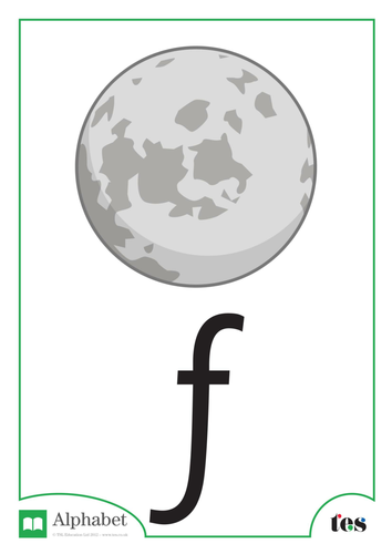 The Letter F - Nocturnal Animals Theme | Teaching Resources