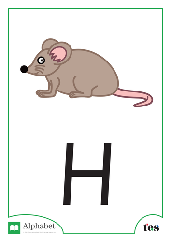 The Letter H - Nocturnal Animals Theme | Teaching Resources