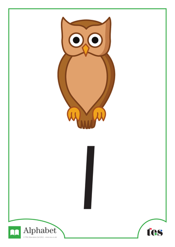 The Letter I - Nocturnal Animals Theme | Teaching Resources