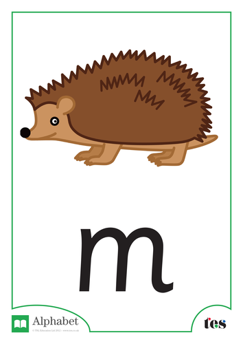 The Letter M - Nocturnal Animals Theme | Teaching Resources