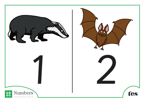 Number Cards - Nocturnal Animal Theme 1-100 | Teaching Resources