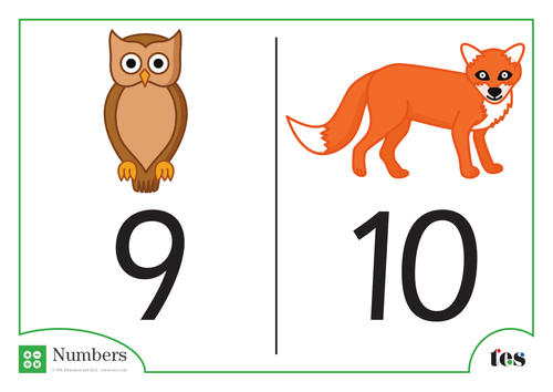 Number Cards - Nocturnal Animal Theme 1-10 | Teaching Resources
